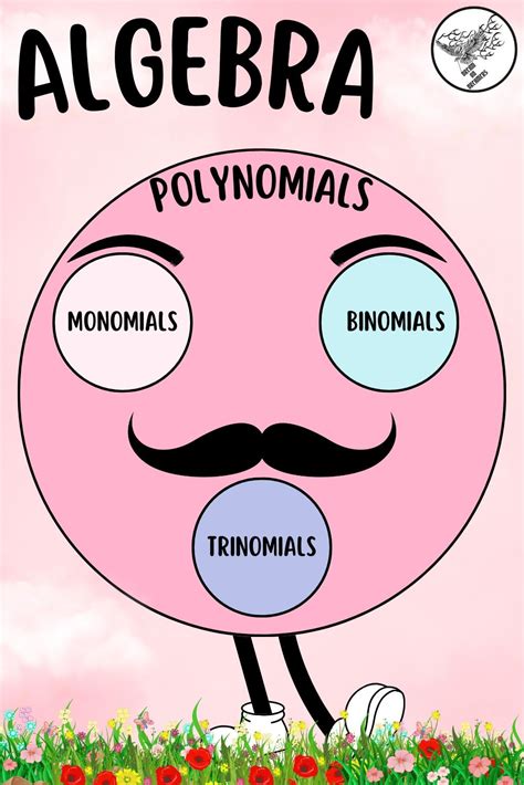 Polynomials Classifying Algebraic Expressions As Monomials Binomials