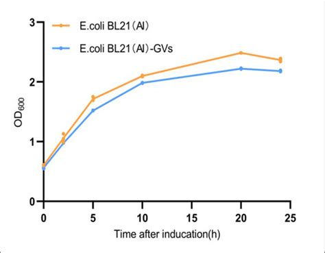 【菌周刊】工程菌应用｜大肠杆菌bl21气体囊泡表达增效与hifu消融肿瘤的增效 哔哩哔哩