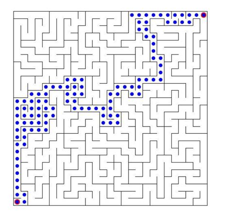 Himanshu S Portfolio