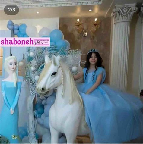 ببینید جشن تولد دختر علیرضا بیرانوند بارانا بیرانوند با تم السا و