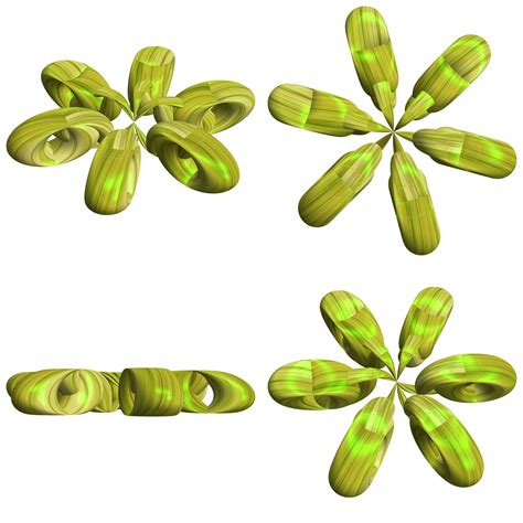 무료 이미지 구조 조직 잎 무늬 식품 녹색 목초 생기게 하다 클로버 그림 디자인 대칭 3d 그래픽 큰 쇠시리 수학자 Cg