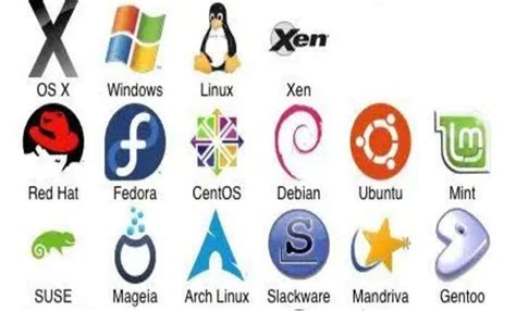 Linux Dns Setup For Web Hosting Freelancer