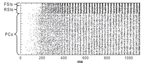 Figure 1 From The Functional Consequences Of Cortical Circuit Abnormalities On Gamma