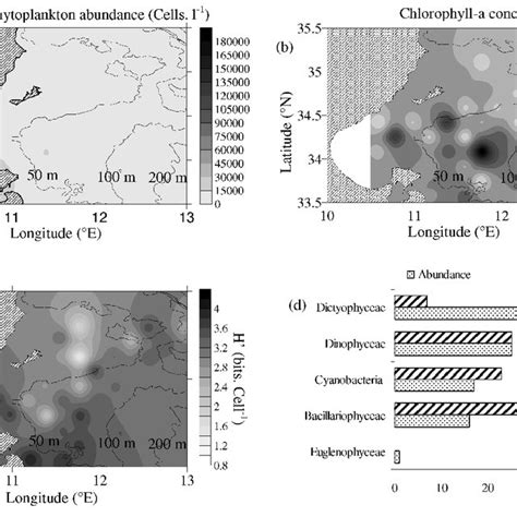 Spatial Distribution Of Total Phytoplankton Abundance A Contour Download Scientific Diagram