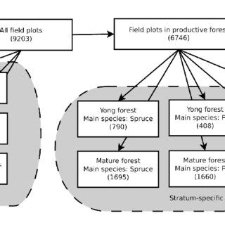 Overview Of The Division Of The Model Dataset According To Main Tree Download Scientific