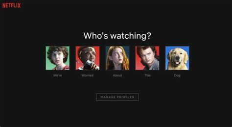 Netflix Ahora Permite La Personalización De Perfiles En Su Plataforma