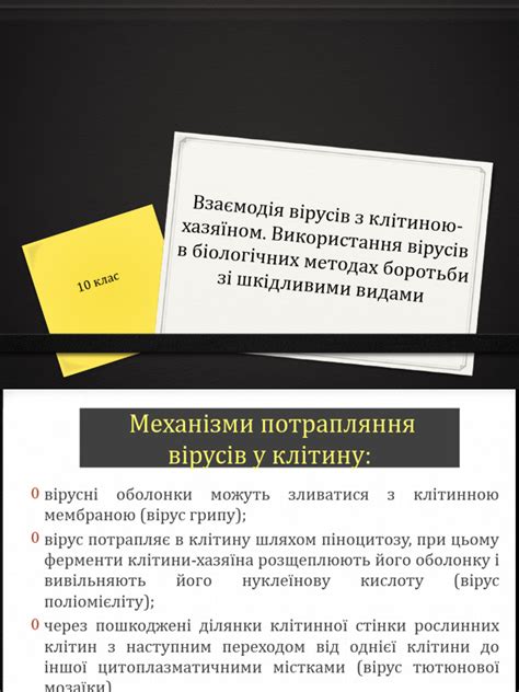 10 клас Урок 9 | PDF