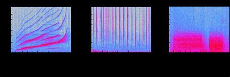 Spectrogram Examples A Whistle B Click Train C Two Burst Pulsed