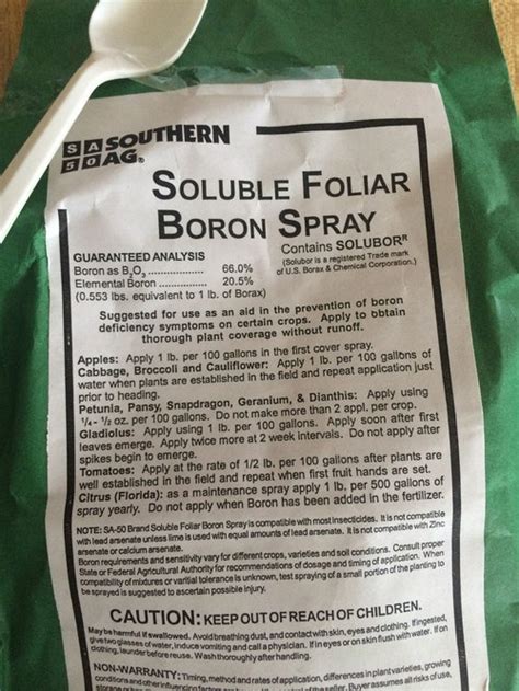 The Solubor Borax Experiment