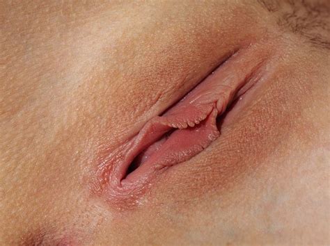 Smooth Little Pussy Carovago Smooth Little Pussy Carovago