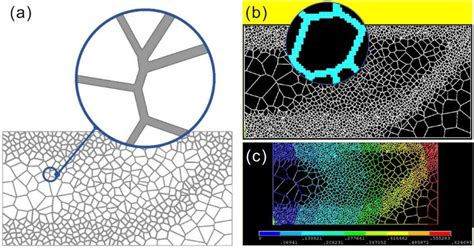 22 A Voronoi Cellular Structure B An Example Of Voxel Fe Model Download Scientific
