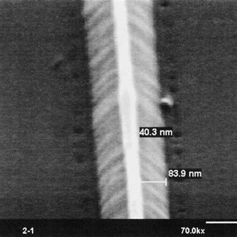 Cross Sectional Drawing Of The Self Aligned Dual Gate Controlled Set Download Scientific Diagram