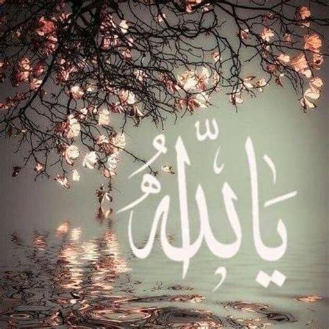 درجستو جوحقیقت