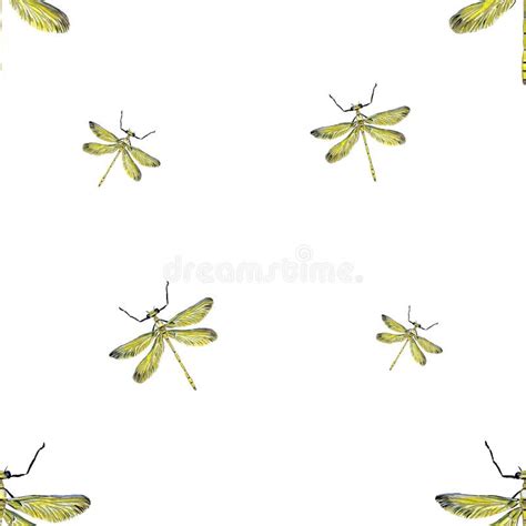 Dragonfly Yellow Pattern Large A Watercolor Sketch Stock Illustration