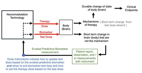 Neuromodulation Design And Biomarkers News Neuromodec
