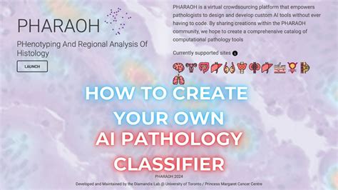 how to create your own ai pathology classifier with pharaoh youtube