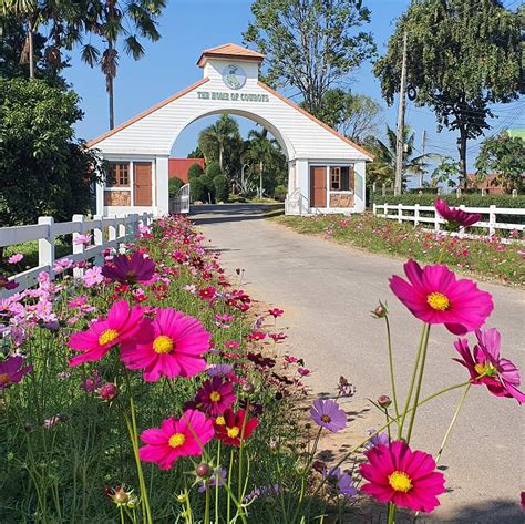 ฟาร์มมหาวิทยาลัย มหาวิทยาลัยแม่โจ้ Chiang Mai