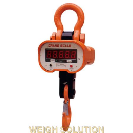 Crane Hook Scale At Best Price In Ludhiana Punjab Weigh Solution Sales Corporation