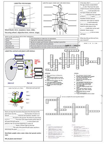 Ks3 Cells And Organs Revision Sheet Teaching Resources