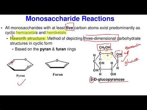 Monosaccharides Structure Functions YouTube
