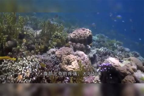 小伙只是下海潜泳，谁料遭到一条鱼“非礼”，死活赖上了他肚皮！潜泳死活肚皮