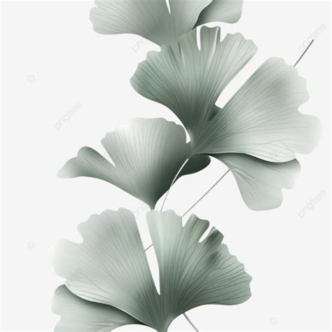 녹색 추상 테두리 추상적인 초록 액자 Png 일러스트 및 이미지 에 대한 무료 다운로드 Pngtree