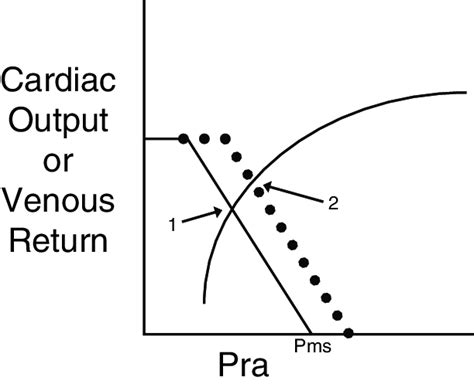 Venous Return Function Curve Superimposed On The Cardiac Function