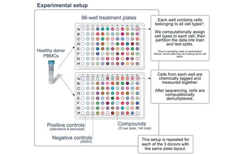 Kaggle赛题解析：小分子基因表达分析 墨天轮