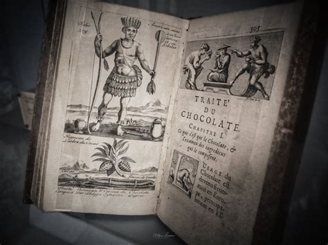 Image of Choco Story by Mathew Browne | 1039357 | PhotoHound