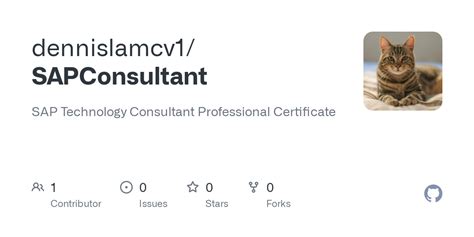 Github Dennislamcv1 Sapconsultant Sap Technology Consultant Professional Certificate