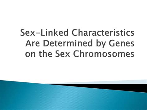 Ppt Sex Linked Characteristics Are Determined By Genes On The Sex