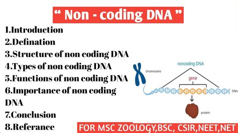 Non Coding Dna Structure Types Of Non Coding Dna Function