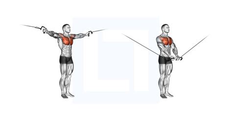 Cable Crossover Guide Benefits And Form