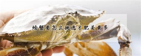 大闸蟹如何养殖 发财农业网