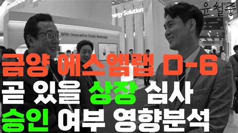 금양 에스엠랩 신 사업에 대한 회의적인 시선 Vs 끊임 없는 혁신과 노력 D 6 Youtube