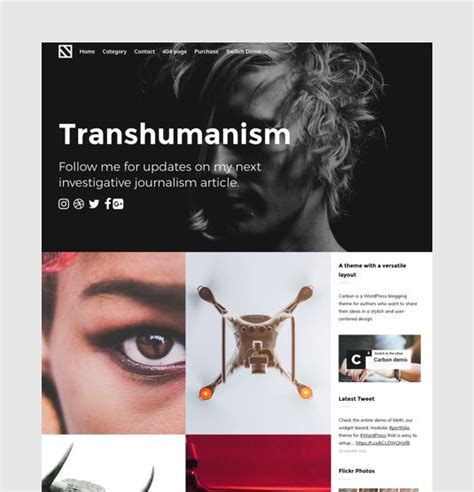 Versatile WordPress Themes Codestag