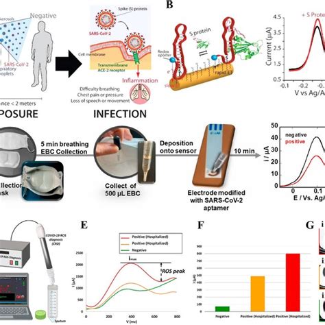 Ab An Ec Aptamer‐based Sensor Toward Fast Detecting Sars‐cov‐2 Spike