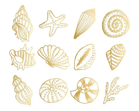 Premium Vector Set Of Contour Golden Seashells Hand Drawn Seashells