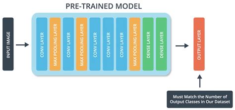 Github Harveyvntransfer Learning Flowers Classification Transfer