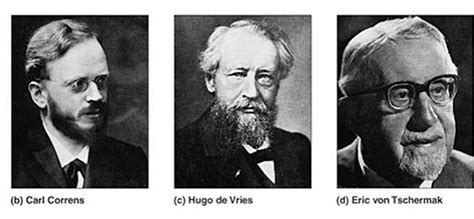 Línea Del Tiempo Sobre Antecedentes E Historia De La Genética Timeline