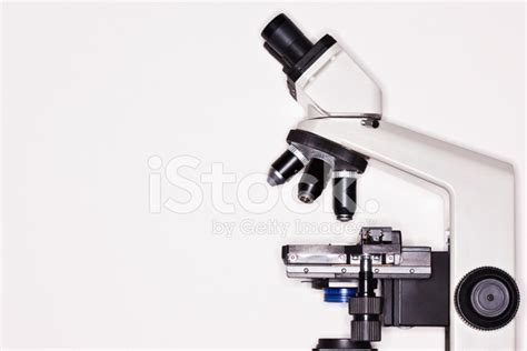 전자 현미경 스톡 사진 Freeimages