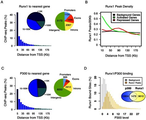 A Distribution Of Runx1 ChIP Seq Peaks Relative To Gene TSS Shown