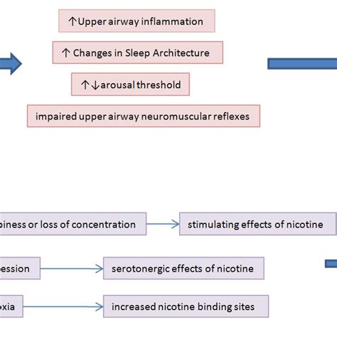A Summary Of The Bidirectional Relationship Between Obstructive Sleep Download Scientific