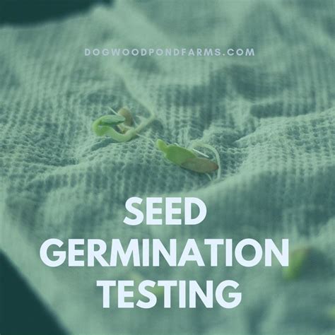 Seed Germination Testing Results