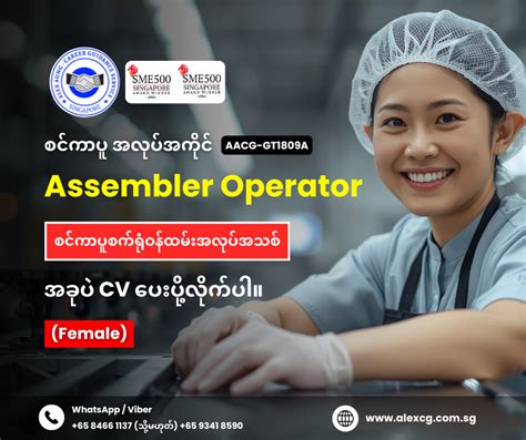 Assembler Operator Alex Aung Career Guidance Service