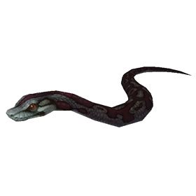 Elder Python WoW Battle Pet