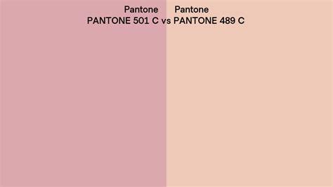 Pantone 501 C Vs Pantone 489 C Side By Side Comparison