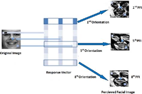 figure 1 from mlp neural network using modified constructive training