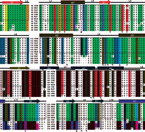 Sequence Alignment Of Uch L1 Enzymes Structure Based Sequence Download Scientific Diagram