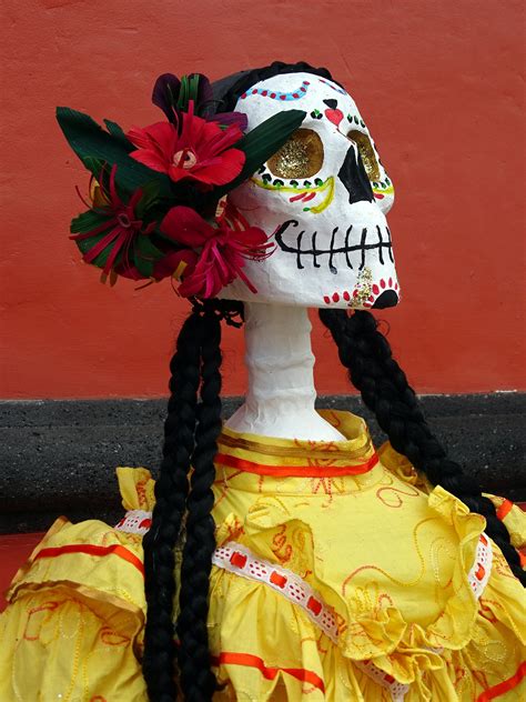 Free Images Flower Red Color Clothing Yellow Death Skull Art
